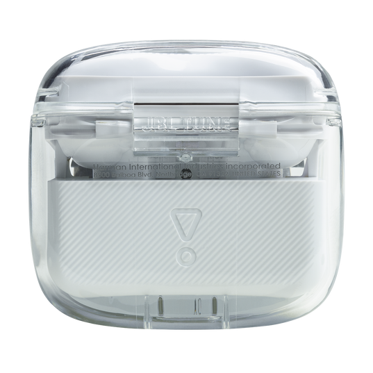 JBL Tune Flex Ghost Edition | True wireless Noise Cancelling earbuds